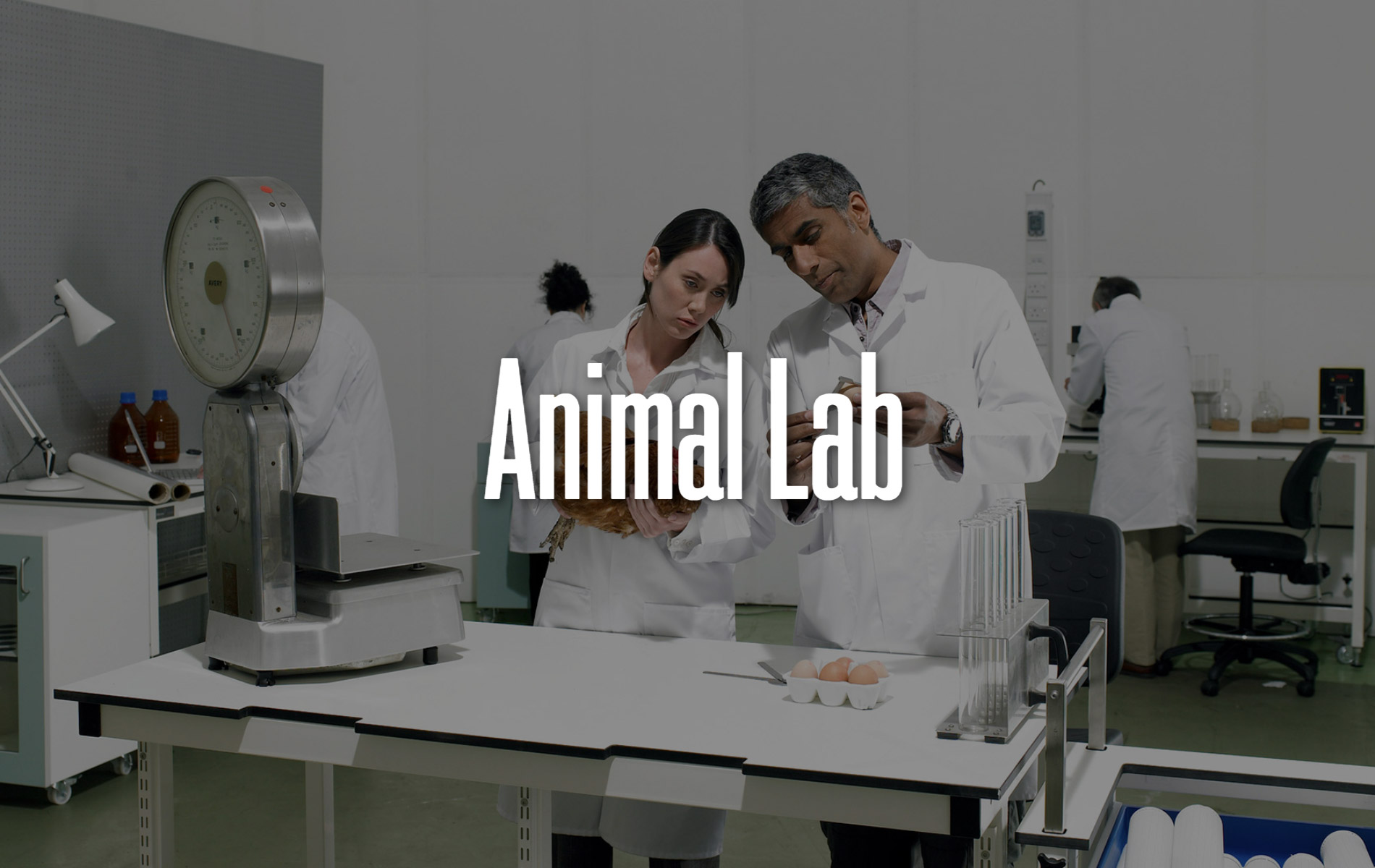 Animal Lab Cleaning Supplies - Berkshire Corporation