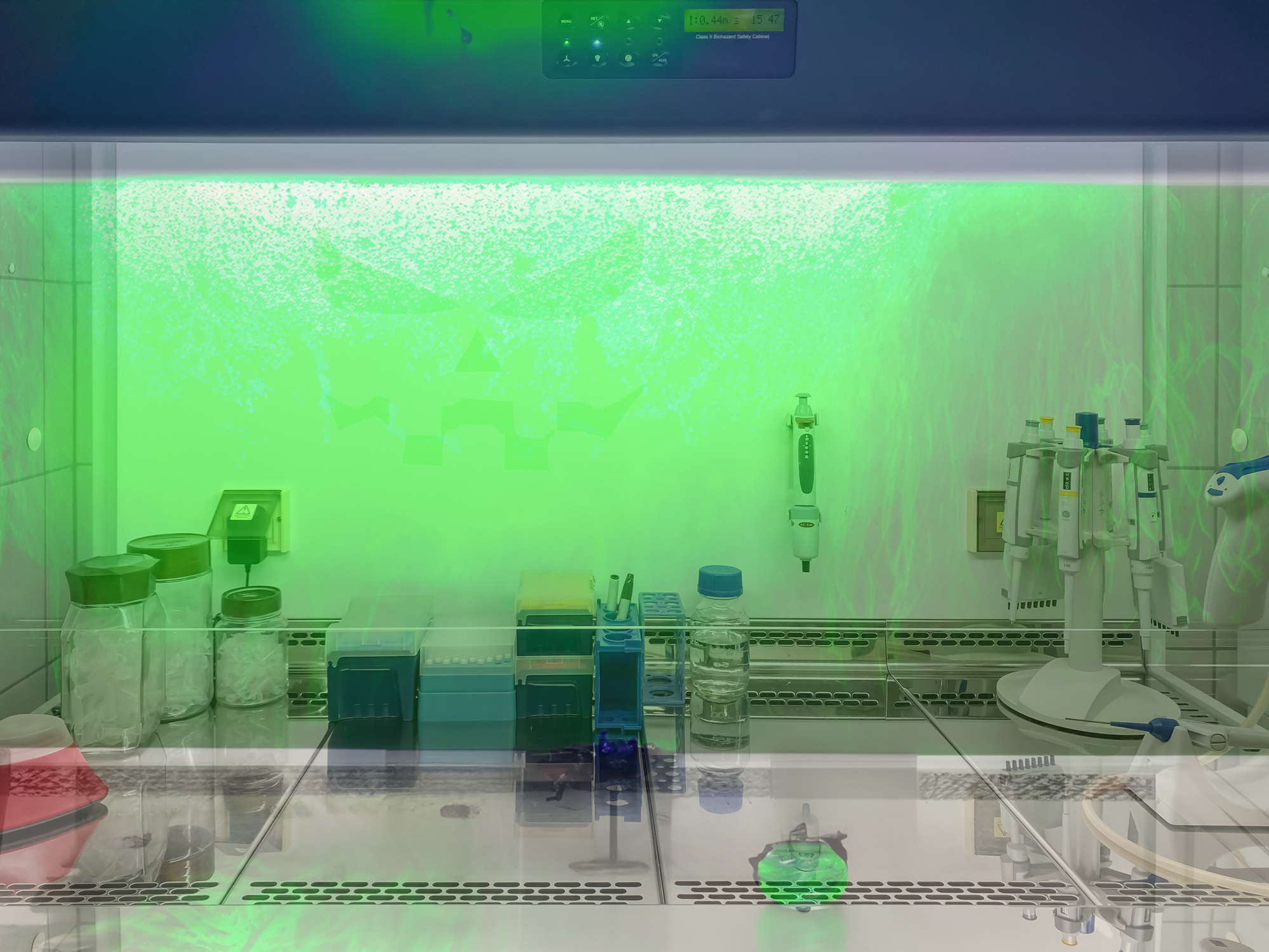 Contaminated Chaos! Don’t let your cleanroom be haunted by ...